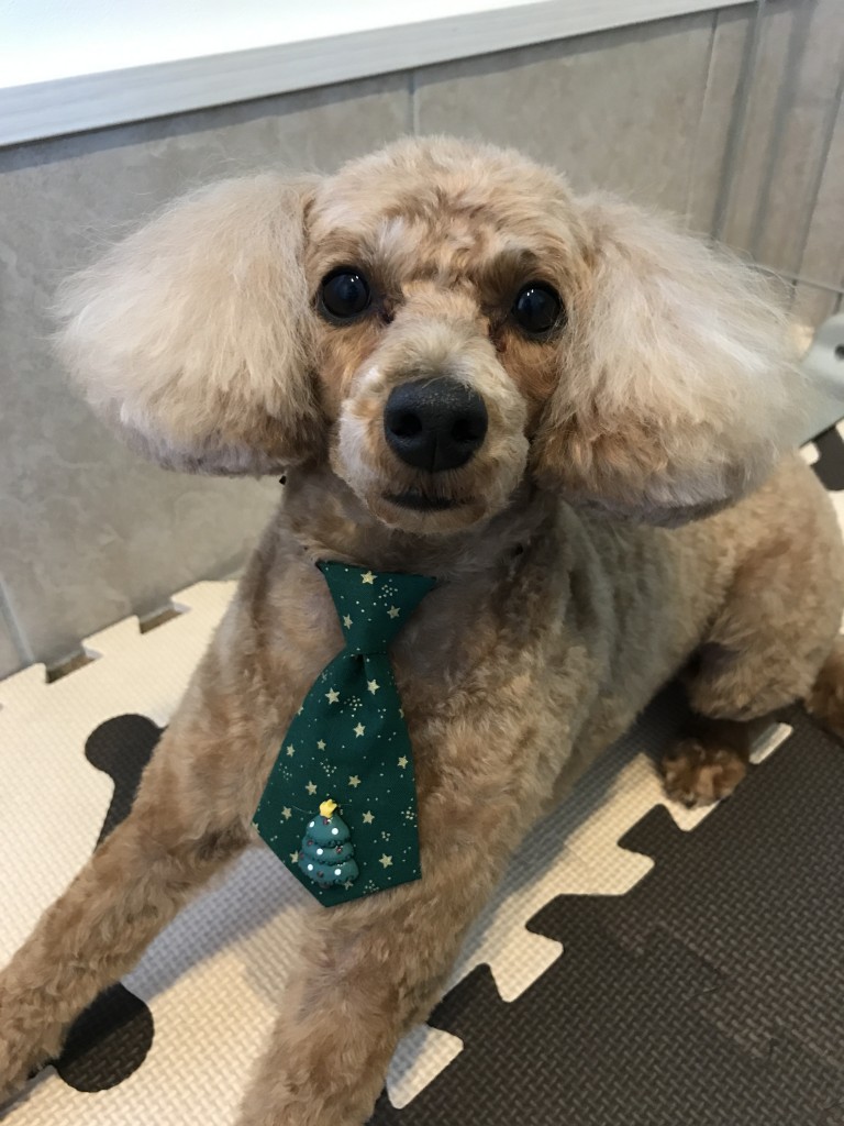 IMG-0468 | なにわもんじゃ鉄板焼ひとへら